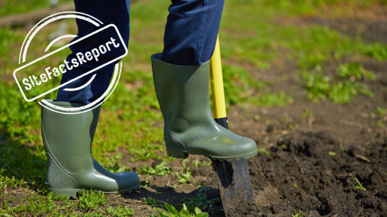 What Is a Perk Test? A Must-Know for Homebuyers & Developers ...